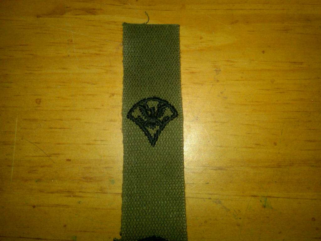 Subdued Army Specialist Ranks - ARMY (INCLUDING USAAC/AAF) - U.S ...