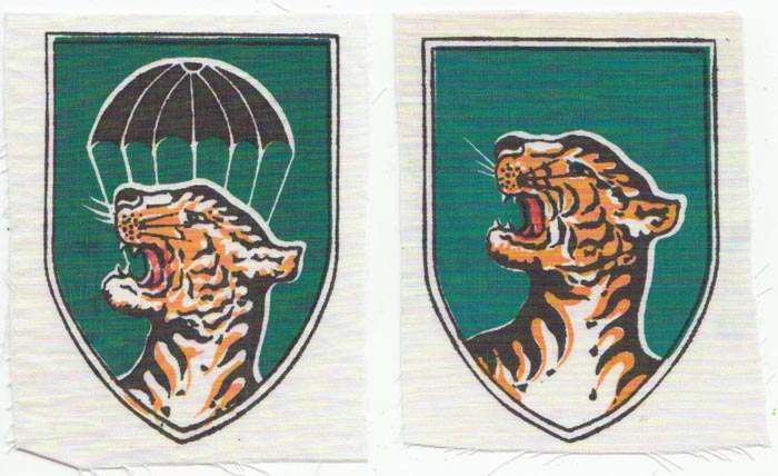 CIDG Strike Force Printed Insignia - ARMY AND USAAF - U.S. Militaria Forum