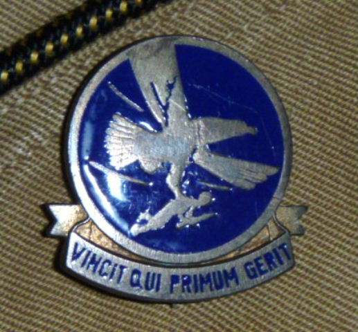 "VINCIT QUI PRIMUM GERIT " - ARMY AND USAAF - U.S. Militaria Forum