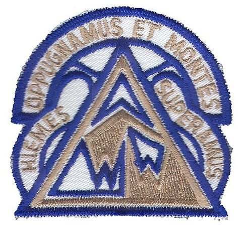 US Army Alaska "Arctic " tab - ARMY AND USAAF - U.S. Militaria Forum