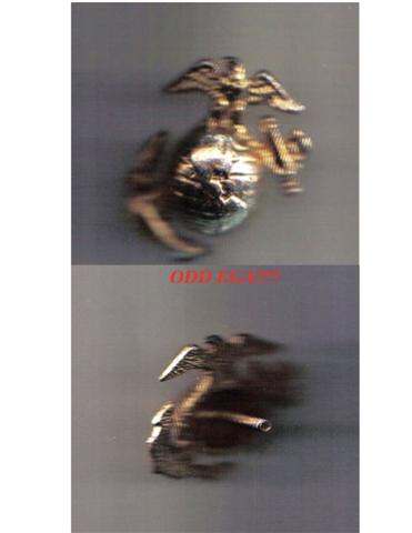 Need some help with this EGA - MARINE CORPS EGA DISCUSSION - U.S ...