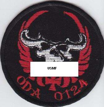 "Task Force 10" patches - the only US SOF in ISAF - ARMY AND USAAF - U ...