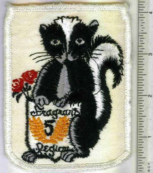 Skunk Patch? - CAN YOU IDENTIFY THIS PATCH? - U.S. Militaria Forum