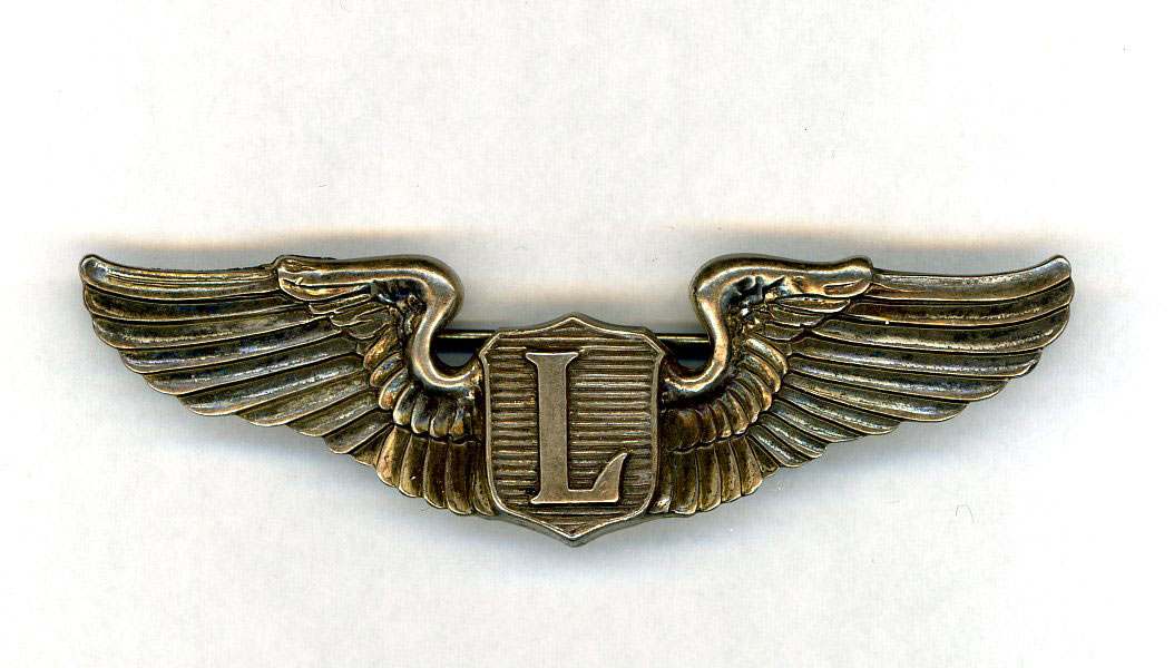 My small wing collection - WING BADGES - U.S. Militaria Forum