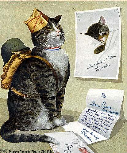 Cats in the Military - ANIMALS IN SERVICE - U.S. Militaria Forum
