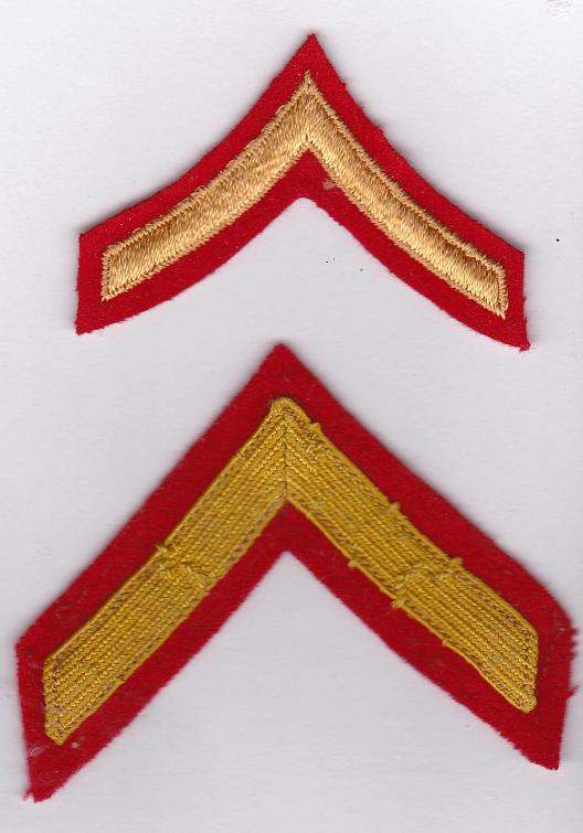 Unknown Chevron - ARMY (INCLUDING USAAC/AAF) - U.S. Militaria Forum