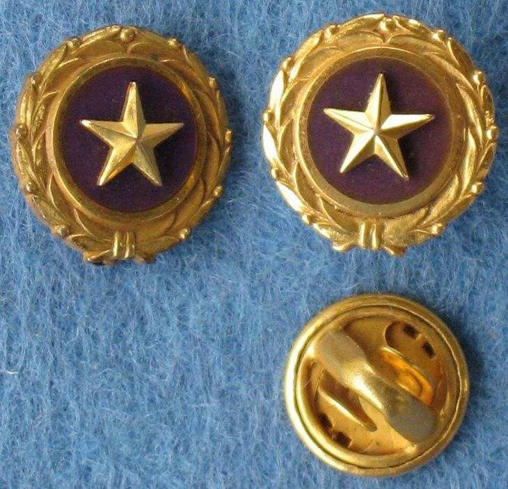 Engraved Gold Star Mother & Father Pins - LAPEL BUTTONS (DISCHARGE ...