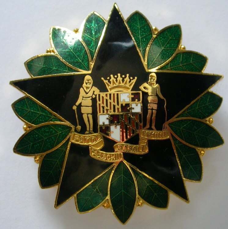 Governers Staff Badge ( show yours from different States ) - BADGES ...