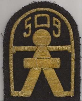 509 PIR Pocket Patch on eBay - ARMY AND USAAF - U.S. Militaria Forum