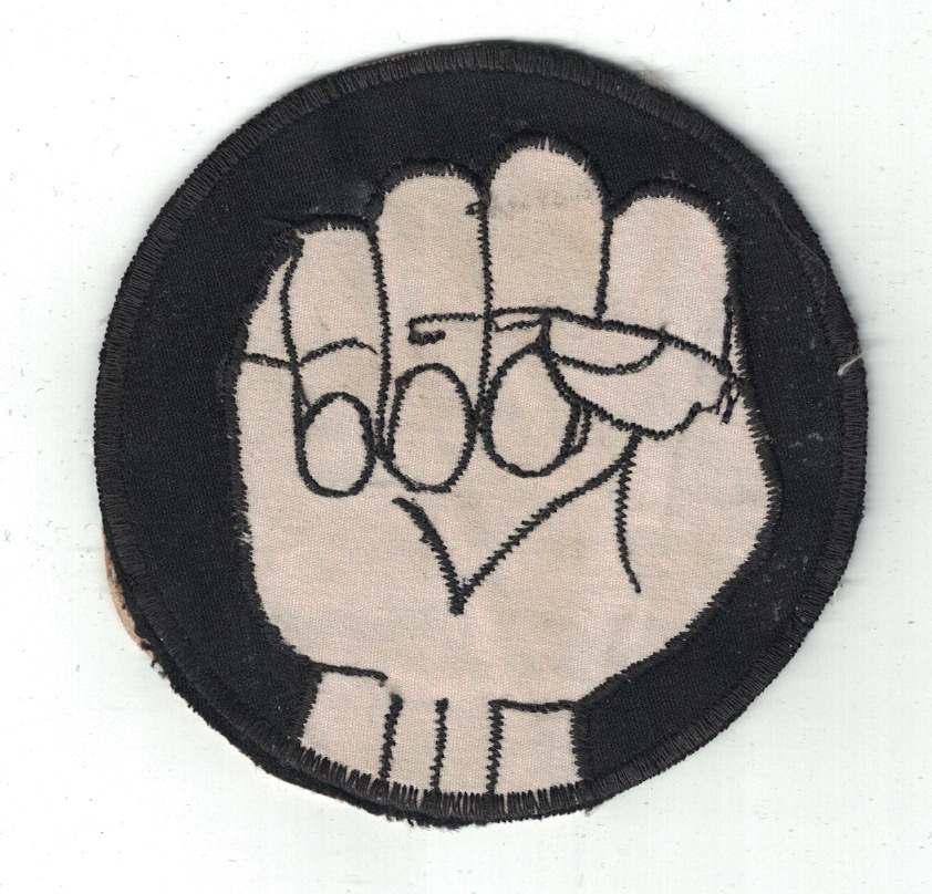 Vietnam Fist Patch - ARMY AND USAAF - U.S. Militaria Forum