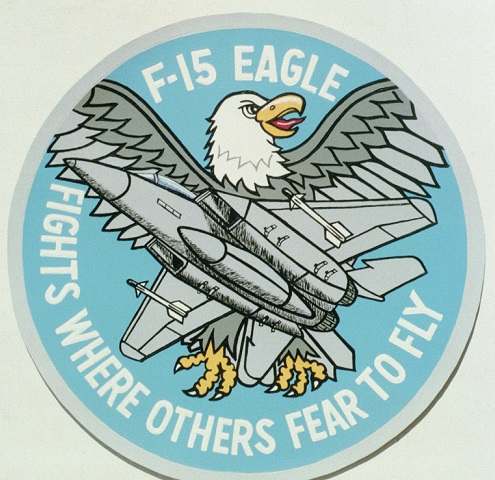 Leather 12inch,F-15 Eagle patch ...... - REENACTING GROUPS & REPRO GEAR ...