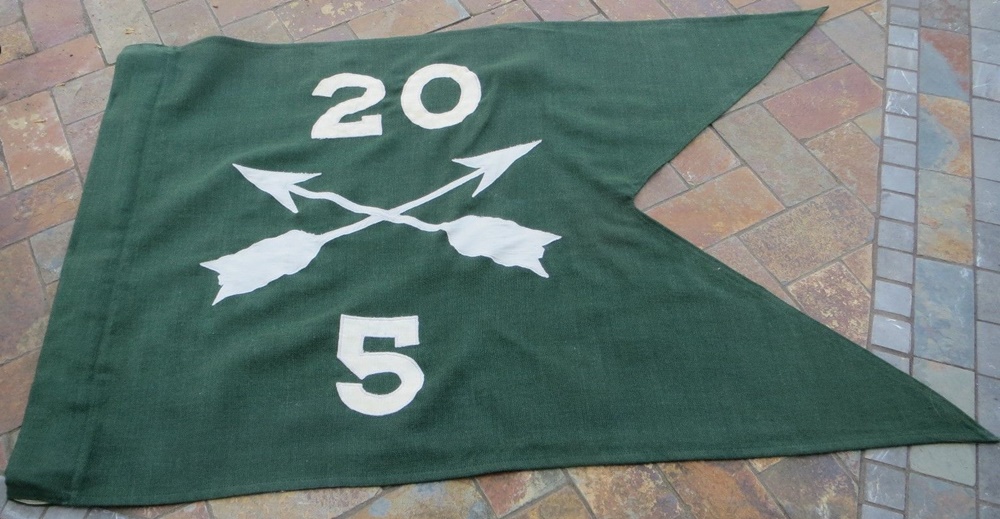 Special Forces Guidon 20th SFG - MISC MILITARIA - U.S. Militaria Forum