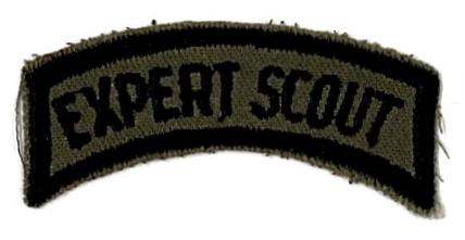 Unknown Expert Scout tab - CAN YOU IDENTIFY THIS PATCH? - U.S ...