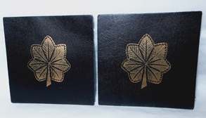 Leather Major Rank? - ARMY (INCLUDING USAAC/AAF) - U.S. Militaria Forum