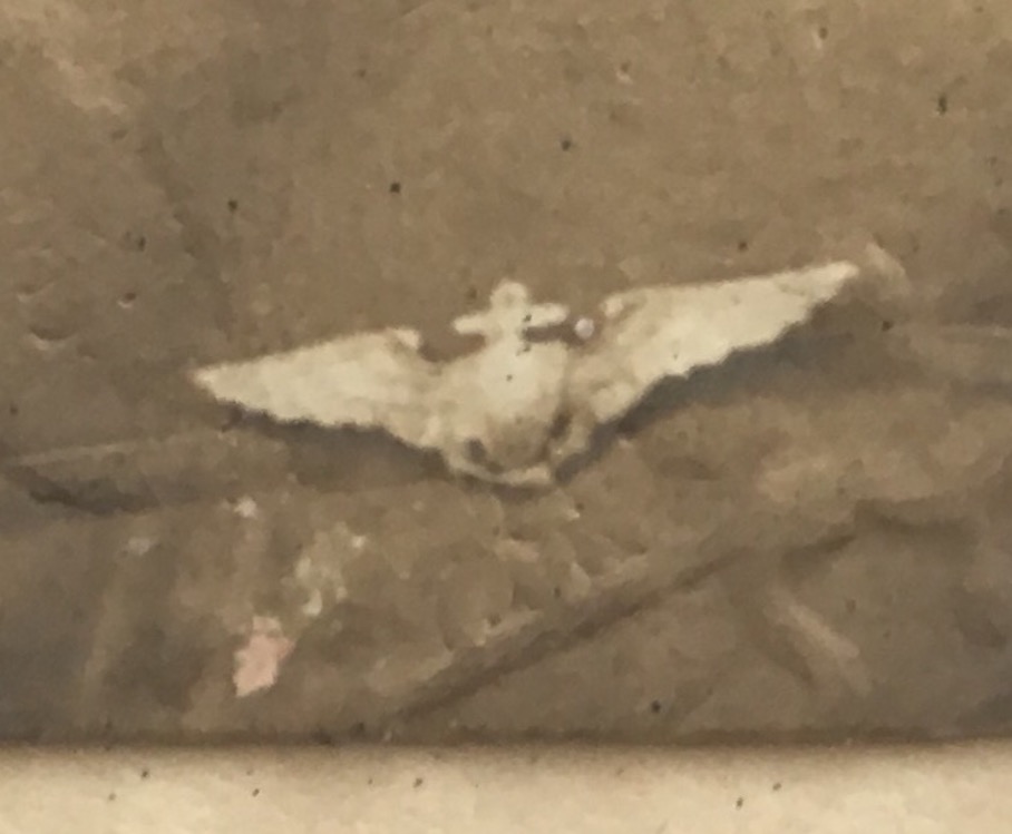 WWI - 1919 Robbins Naval Aviator Wings and ID Book Franklin F. Roberts ...