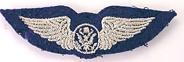 BLUE BACKED A/C WINGS - WING BADGES - U.S. Militaria Forum