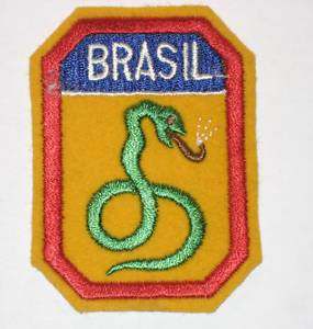 WWII Brazil Snake Patch Patch - Felt - U.S. Made - ARMY AND USAAF - U.S ...