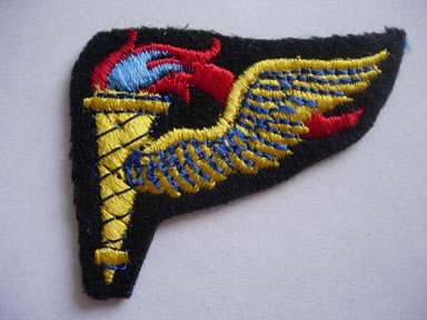 Pathfinder - ARMY AND USAAF - U.S. Militaria Forum