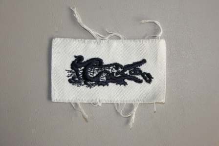 Amphibious Forces - Alligator Cuff Patches ---------- - NAVY, COAST ...