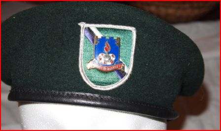 Unknown flash-crest combination ? - ARMY AND USAAF - U.S. Militaria Forum