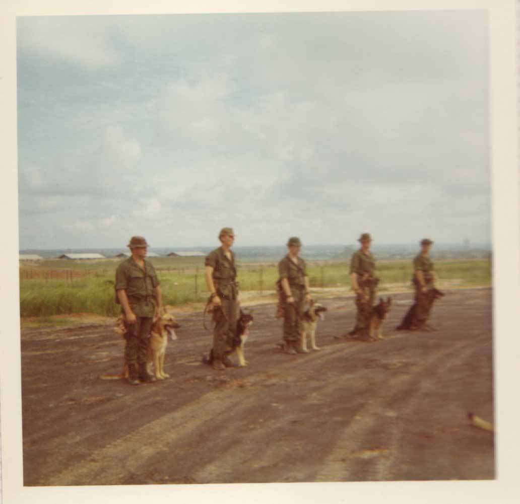 46th Scout Dog Platoon, Part II - GROUPINGS PAGE - U.S. Militaria Forum