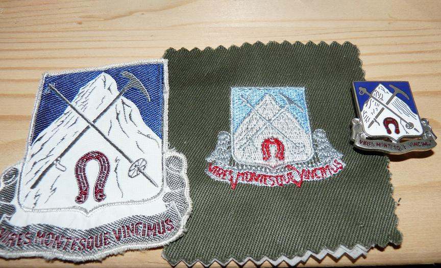 10th Infantry Division in Germany - ARMY AND USAAF - U.S. Militaria Forum