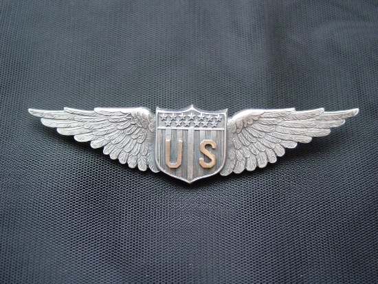 Take these broken wings and learn to fly... - WING BADGES - U.S ...