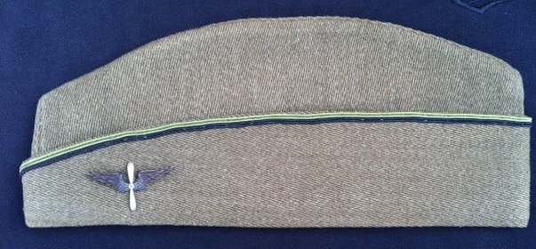 Wings on hats - WING BADGES - U.S. Militaria Forum