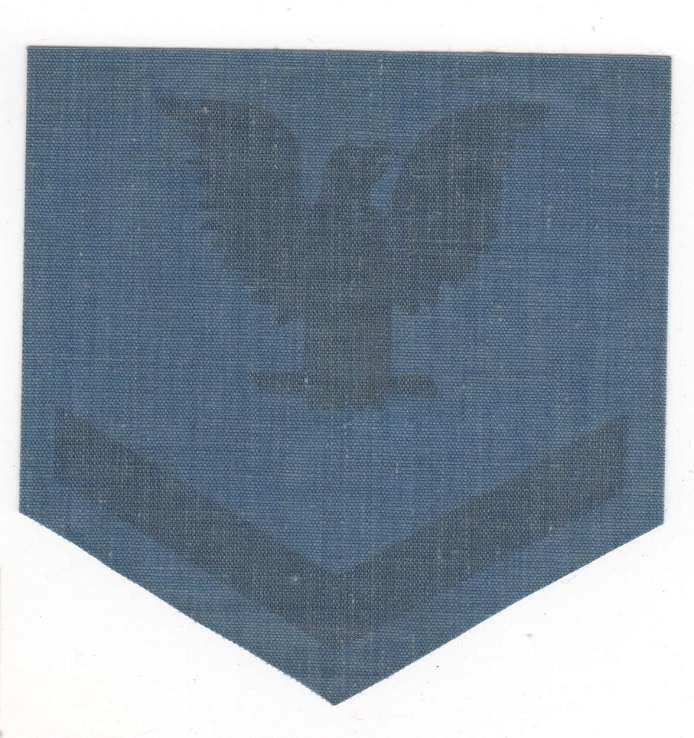 1970's Navy Iron-On Sleeve Insignia - NAVY, COAST GUARD AND OTHER SEA ...