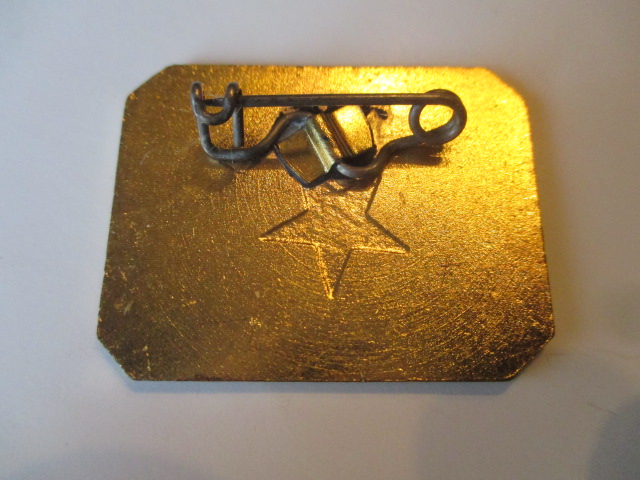 Enameled Army Air Forces Training Service Insignia /Pin. Authentic? Era ...