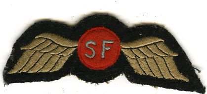 Group with two SF wings sold on ebay - ARMY AND USAAF - U.S. Militaria ...