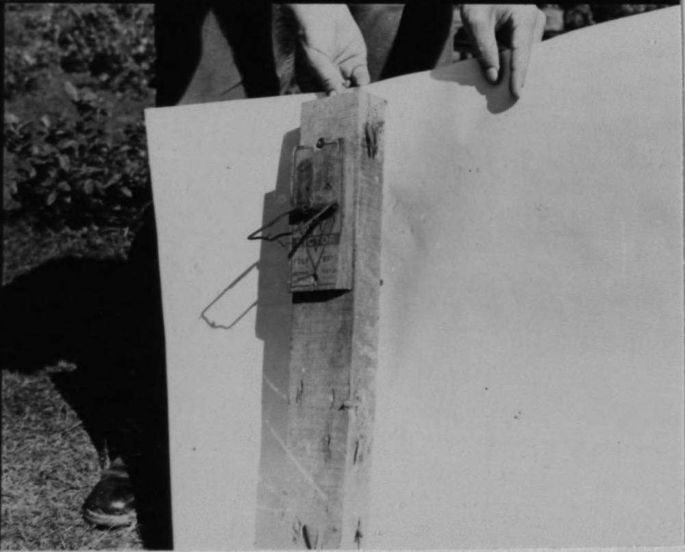 Nasty Viet Cong Rat Trap Bullet Booby Trap - FIREARMS - U.S. Militaria ...