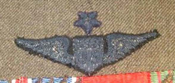 WW1 94th Aero Squadron pilot wings - WING BADGES - U.S. Militaria Forum