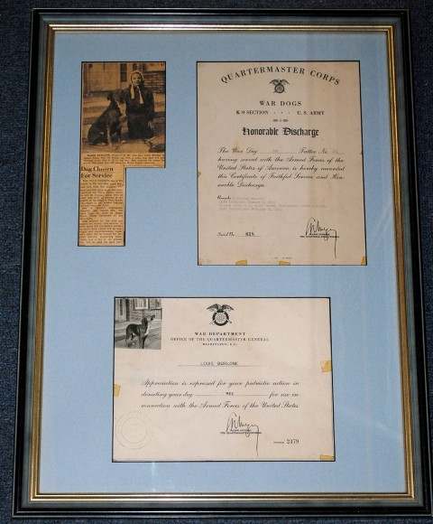 Rex the War Dog & his WWII Documents - EPHEMERA, PHOTOGRAPHS & MILITARY ...