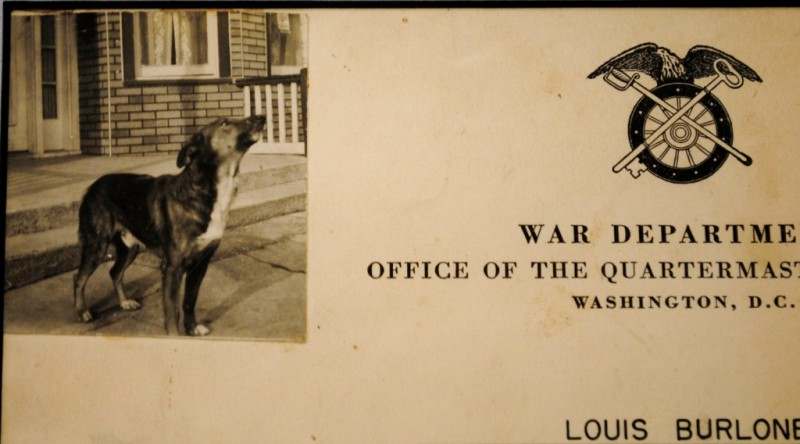 Rex the War Dog & his WWII Documents - EPHEMERA, PHOTOGRAPHS & MILITARY ...
