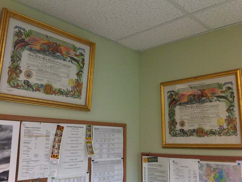 Question about "Golden Shellback" documents and groups - EPHEMERA ...