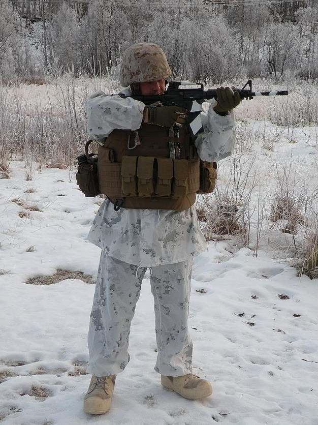 USMC-4 ARCTIC DECADES OF GEAR & CLOTHING IN NORWAY - Page 2 - PINNED ...