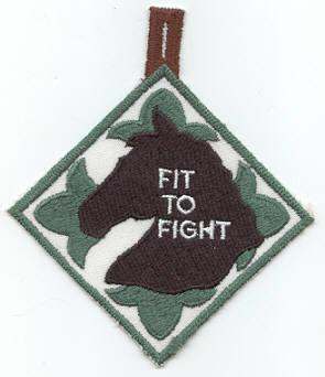 4th Infantry Division patches at Fort Carson 1970-1995 - ARMY AND USAAF ...