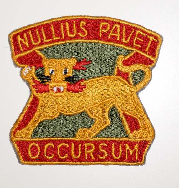 7th AAA Bn - ARMY AND USAAF - U.S. Militaria Forum