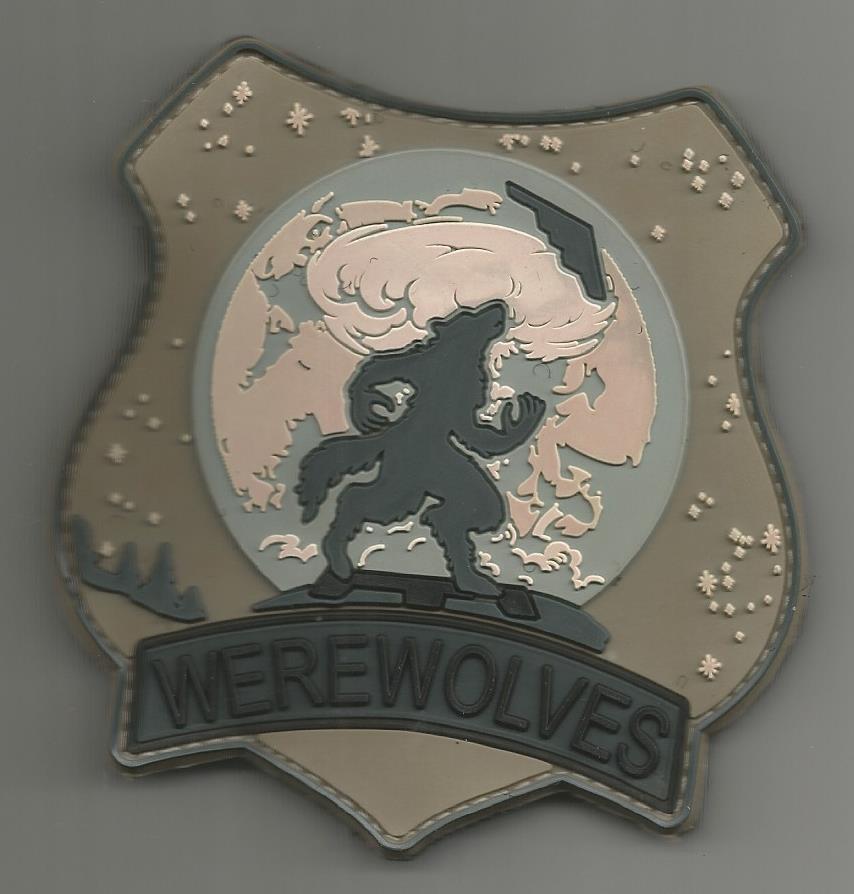 509th SFS patches at Whiteman AFB - AIR FORCE (USAAF IS WITH ARMY) - U ...