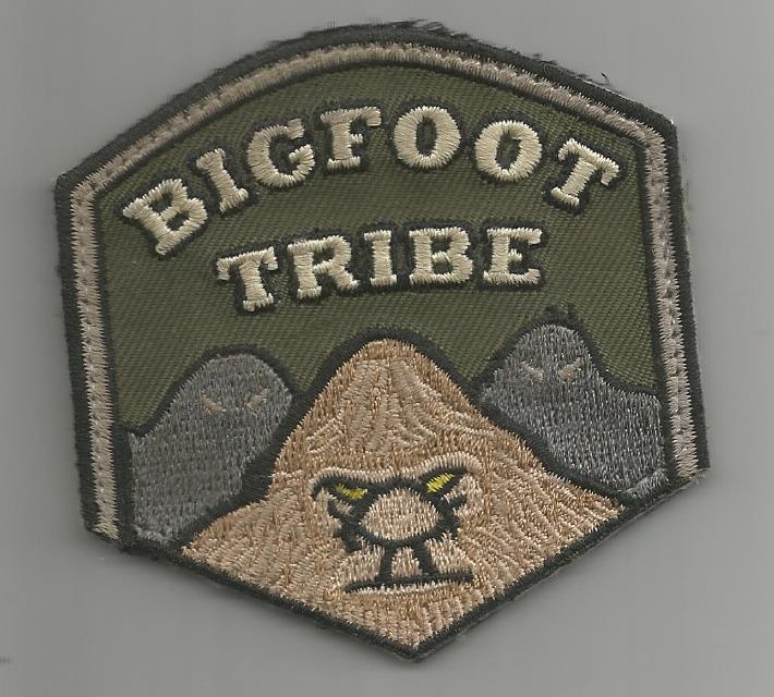 509th SFS patches at Whiteman AFB - AIR FORCE (USAAF IS WITH ARMY) - U ...