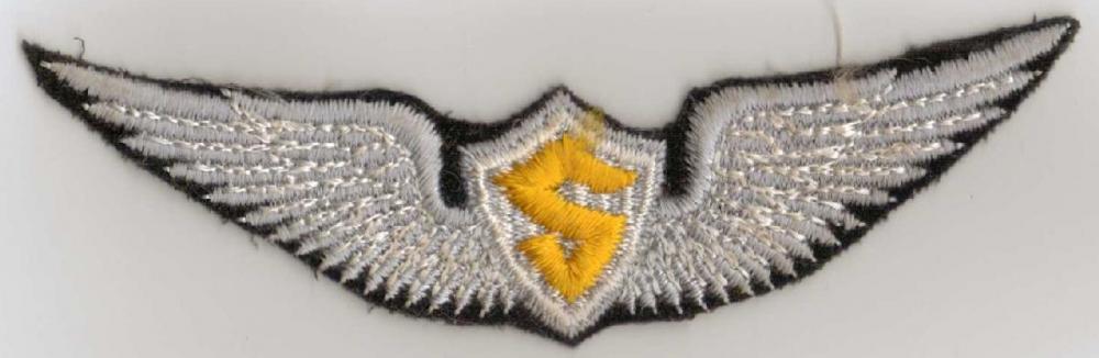 U.S. Army Cap with Wings patch (1960's) with a "2"? - Class cap - WING ...