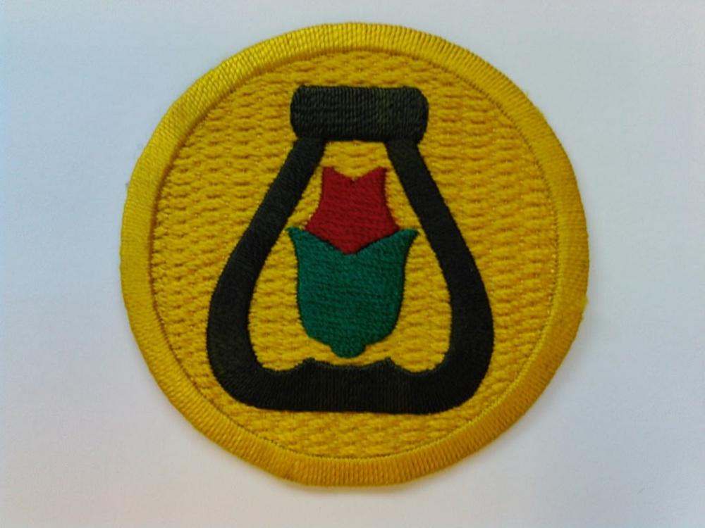24th Cavalry Division patch and proper ID - ARMY AND USAAF - U.S ...