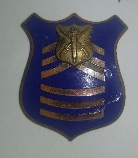 Help - DISTINCTIVE UNIT INSIGNIA / UNIT CRESTS - U.S. Militaria Forum
