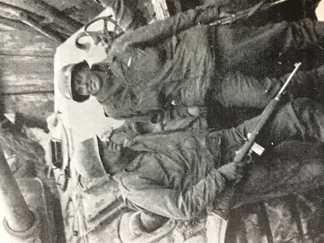 Captured SS Insignia - 87th Infantry Division - SPOILS OF WAR - U.S ...