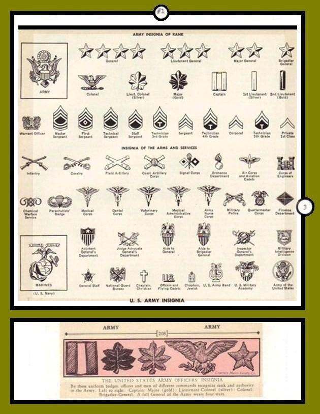 1993 MILITARY Insignia & Grades in the U.S.Army - ARMY (INCLUDING USAAC ...
