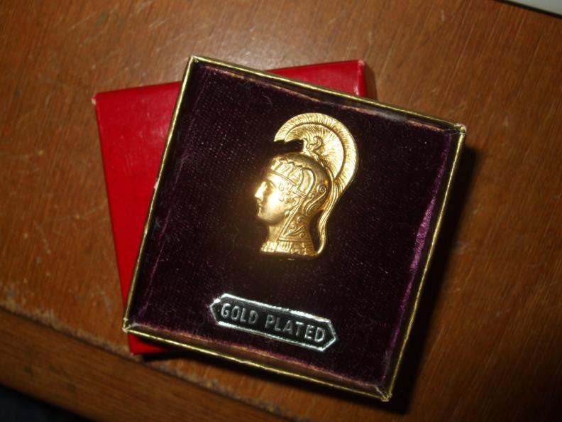 WAAC Insignia - WOMEN'S SERVICES - U.S. Militaria Forum