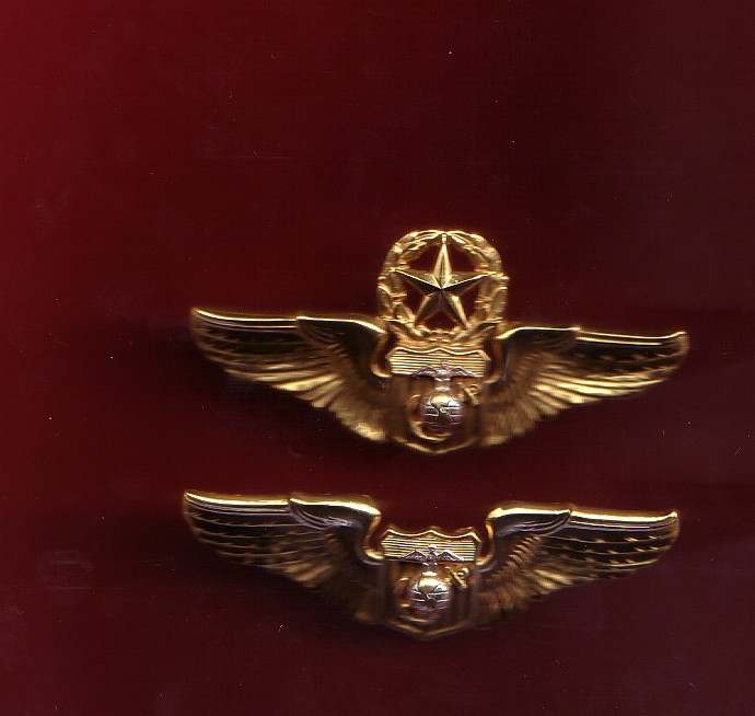 Unauthorized USMC EGA Wings - WING BADGES - U.S. Militaria Forum