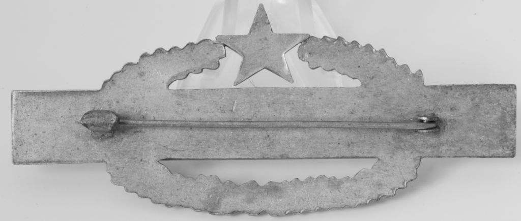 The Combat Infantryman Badge - Page 36 - COMBAT / EXPERT INFANTRY BADGE ...