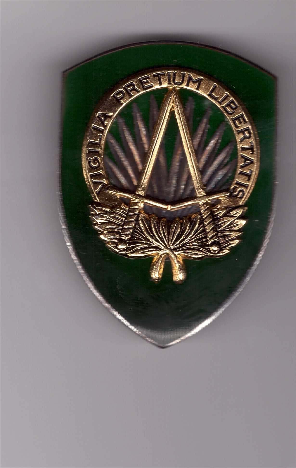 SHAPE Badge - ARMY AND USAAF - U.S. Militaria Forum